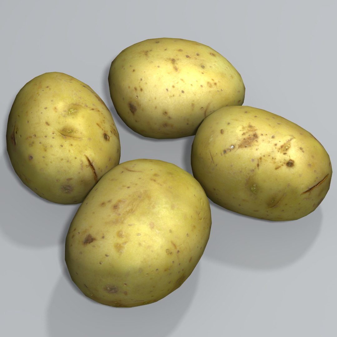 3d Potato Model