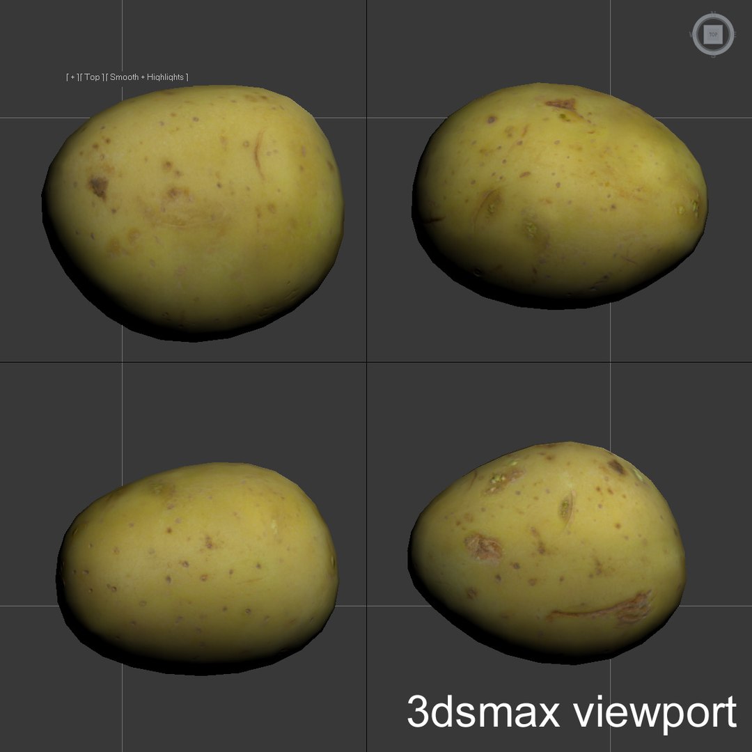 3d Potato Model