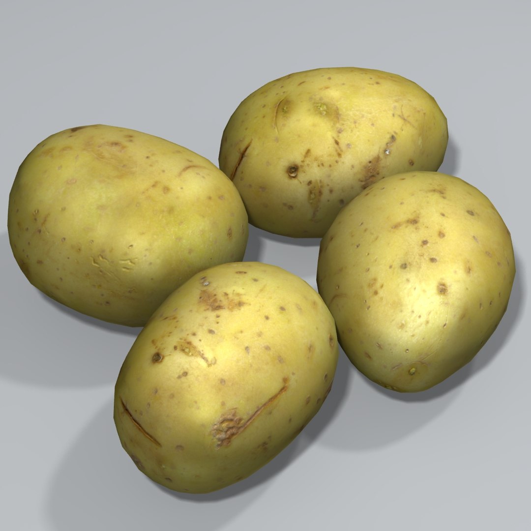 3d Potato Model