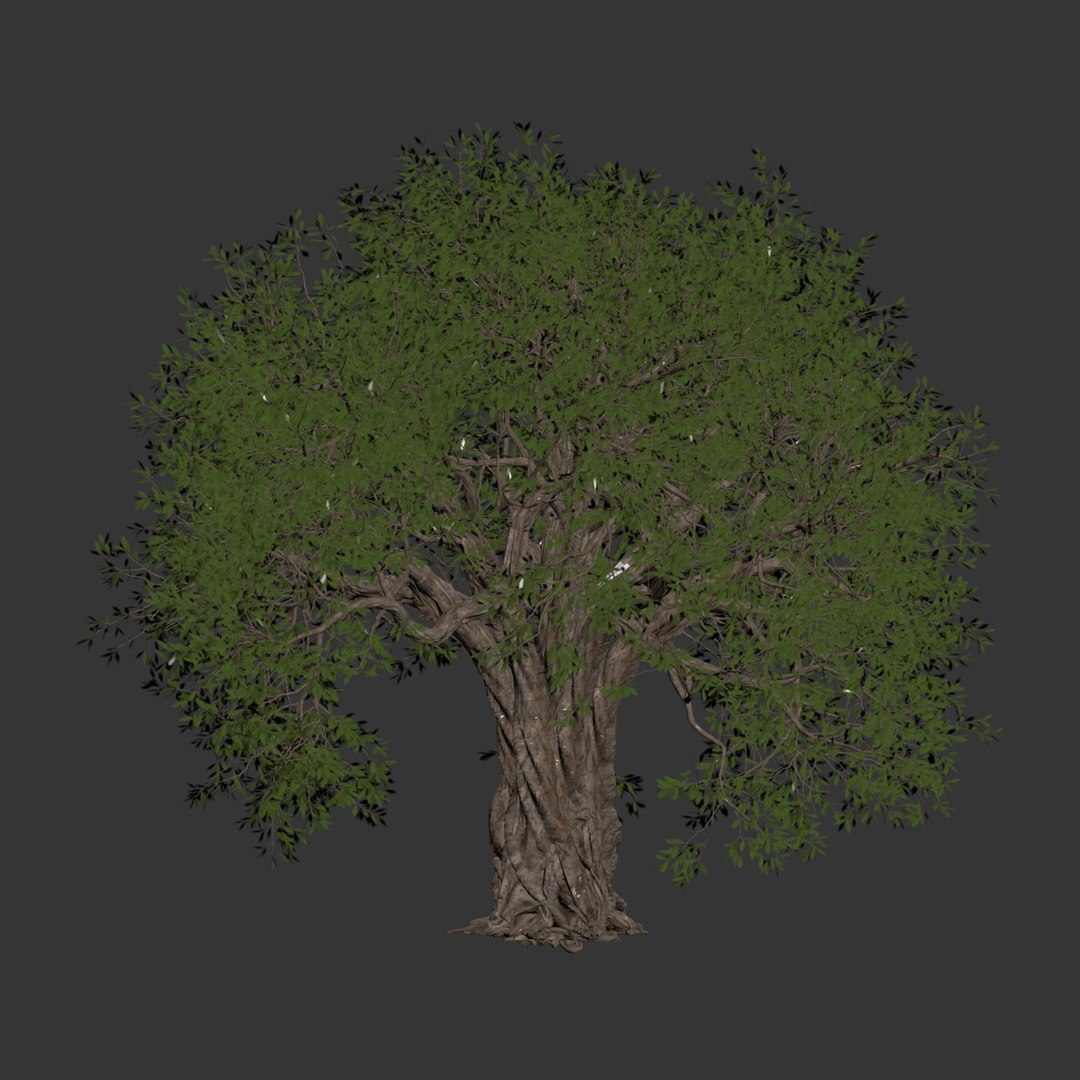 3D Mysterious Tree Vol 251-3dmodel Model - TurboSquid 2186168