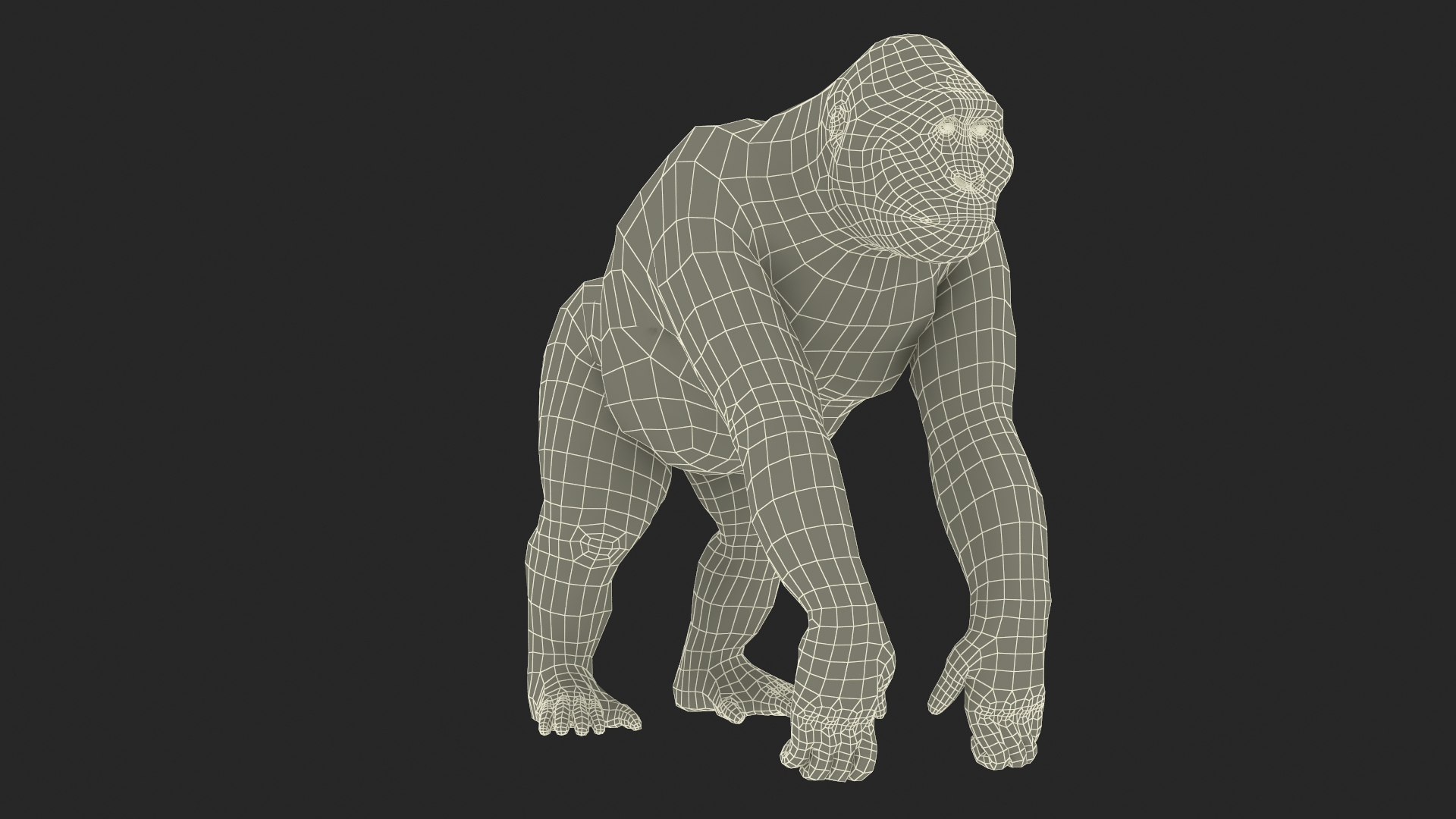3D Model Gigantopithecus Stands On Four Limbs Fur - TurboSquid 2311405