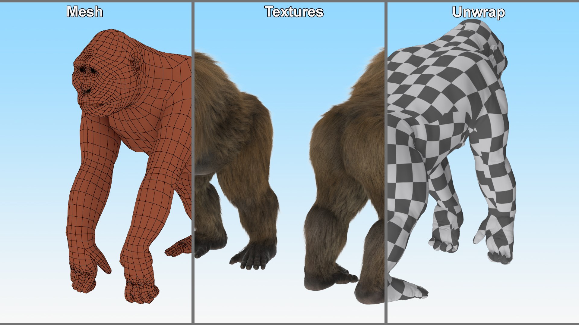 3D Model Gigantopithecus Stands On Four Limbs Fur - TurboSquid 2311405
