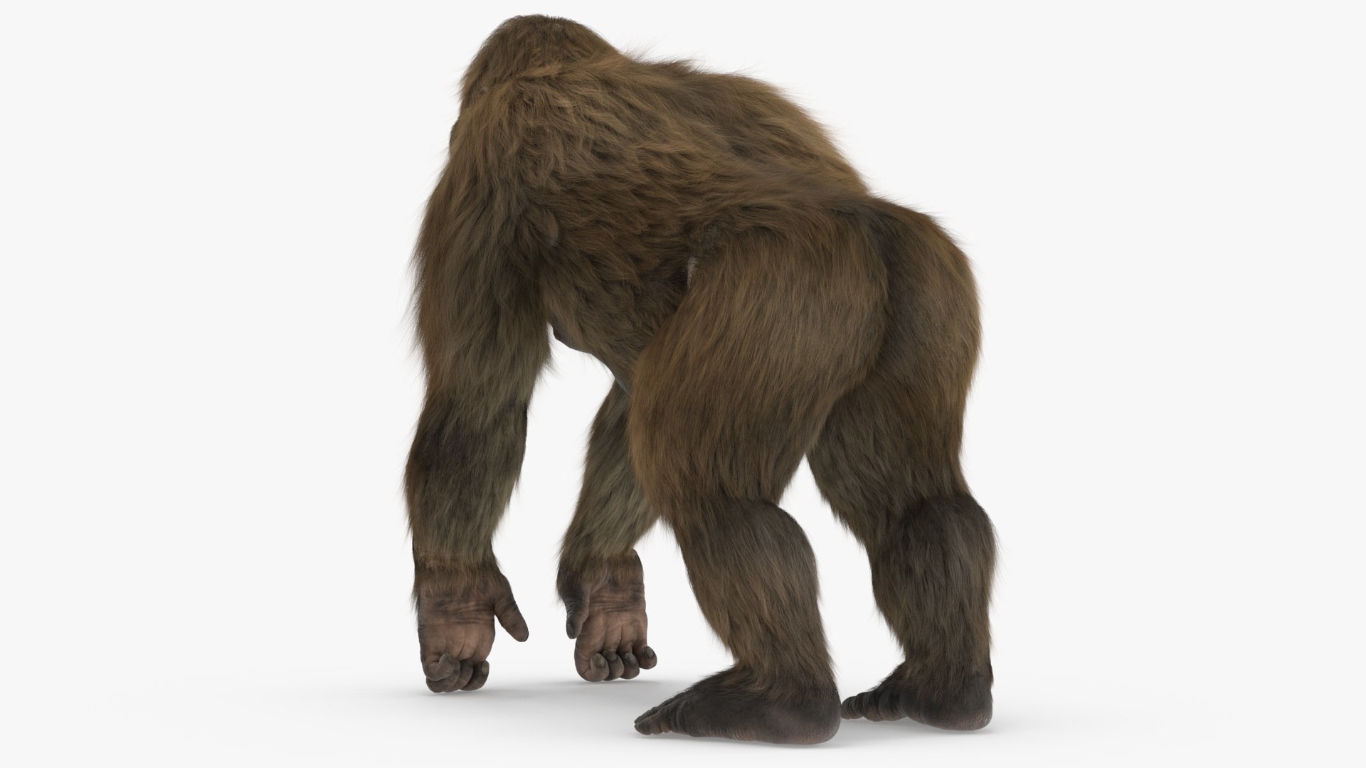 3D Model Gigantopithecus Stands On Four Limbs Fur - TurboSquid 2311405