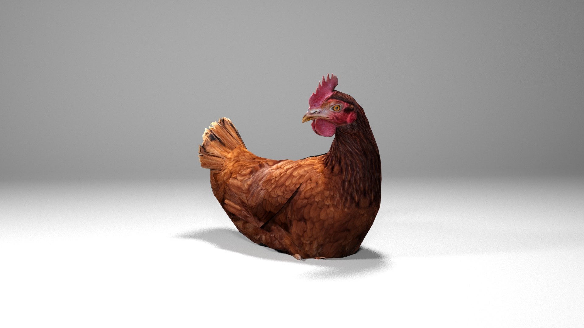 3D Chicken Model - TurboSquid 1579981