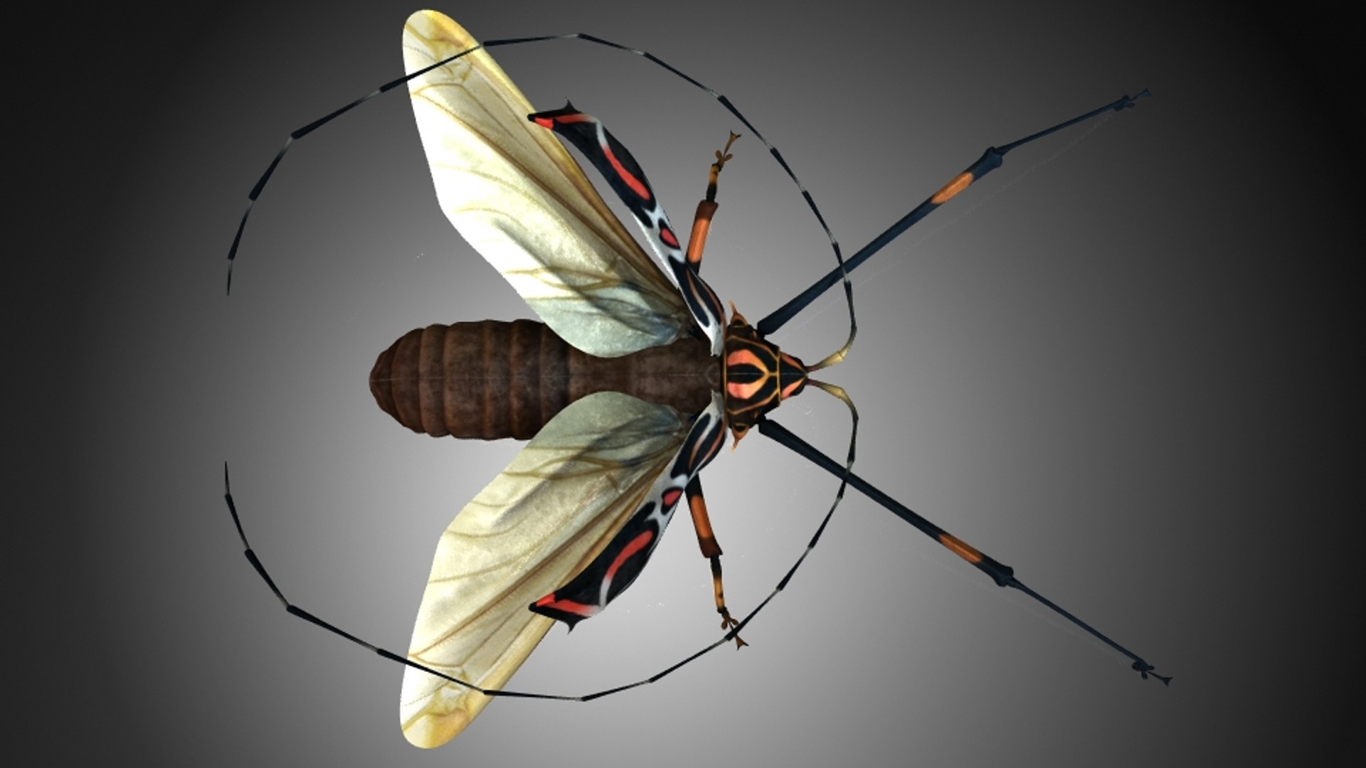 Cerambycidaeinsect 3D model - TurboSquid 1313606