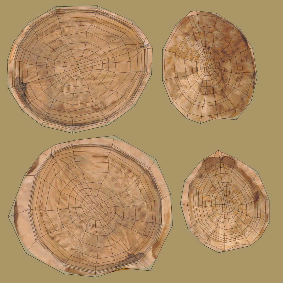 Walnut Pbr Model - TurboSquid 1251911