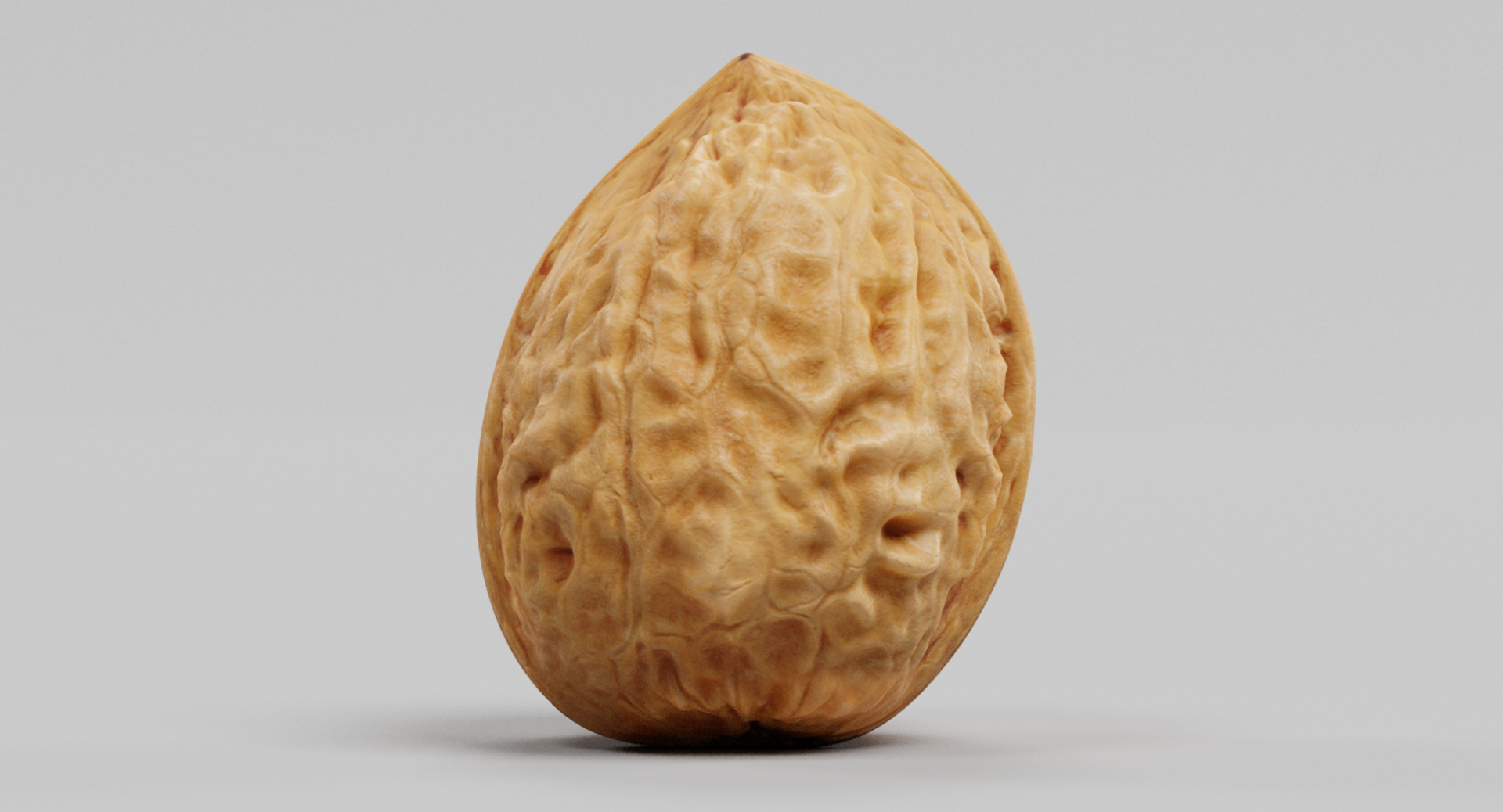 Walnut Pbr Model - TurboSquid 1251911