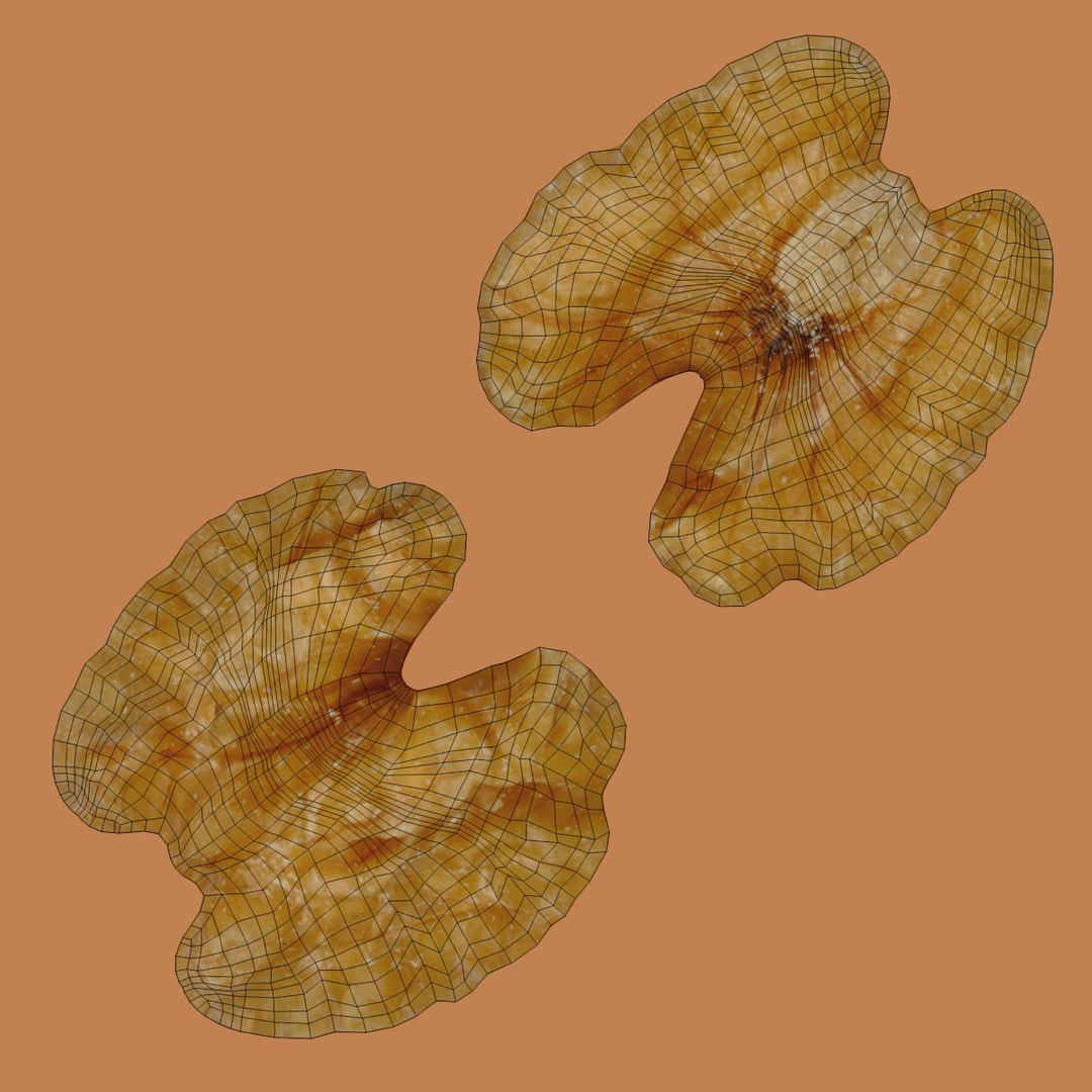 Walnut Pbr Model - TurboSquid 1251911