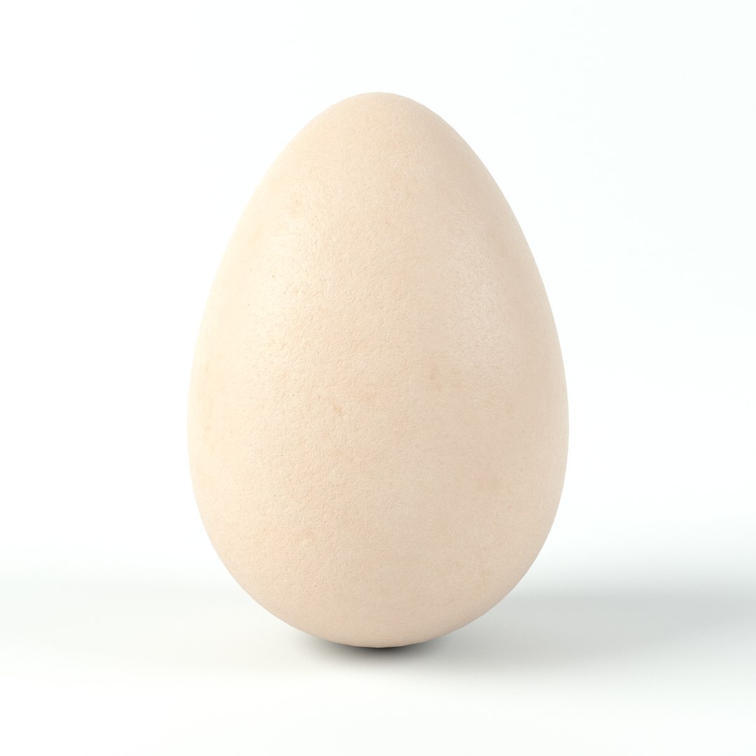 Realistic Egg 4k Pbr 3D Model - TurboSquid 1706426