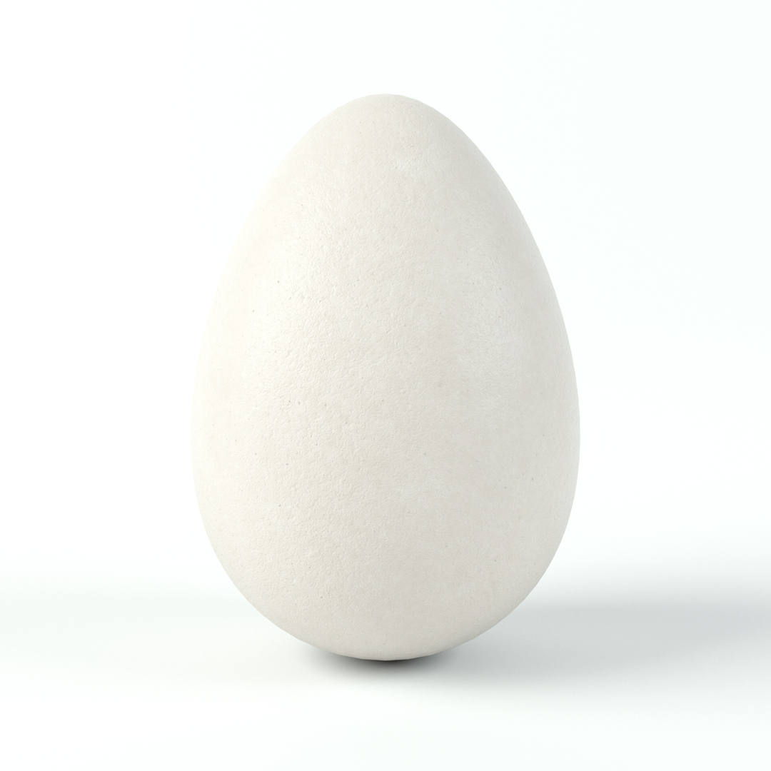 Realistic egg 4k pbr 3D model - TurboSquid 1706426