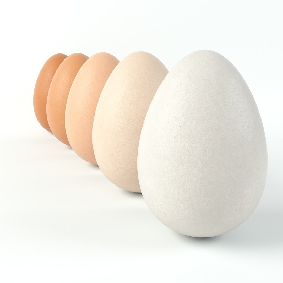 Realistic Egg 4k Pbr 3D Model - TurboSquid 1706426