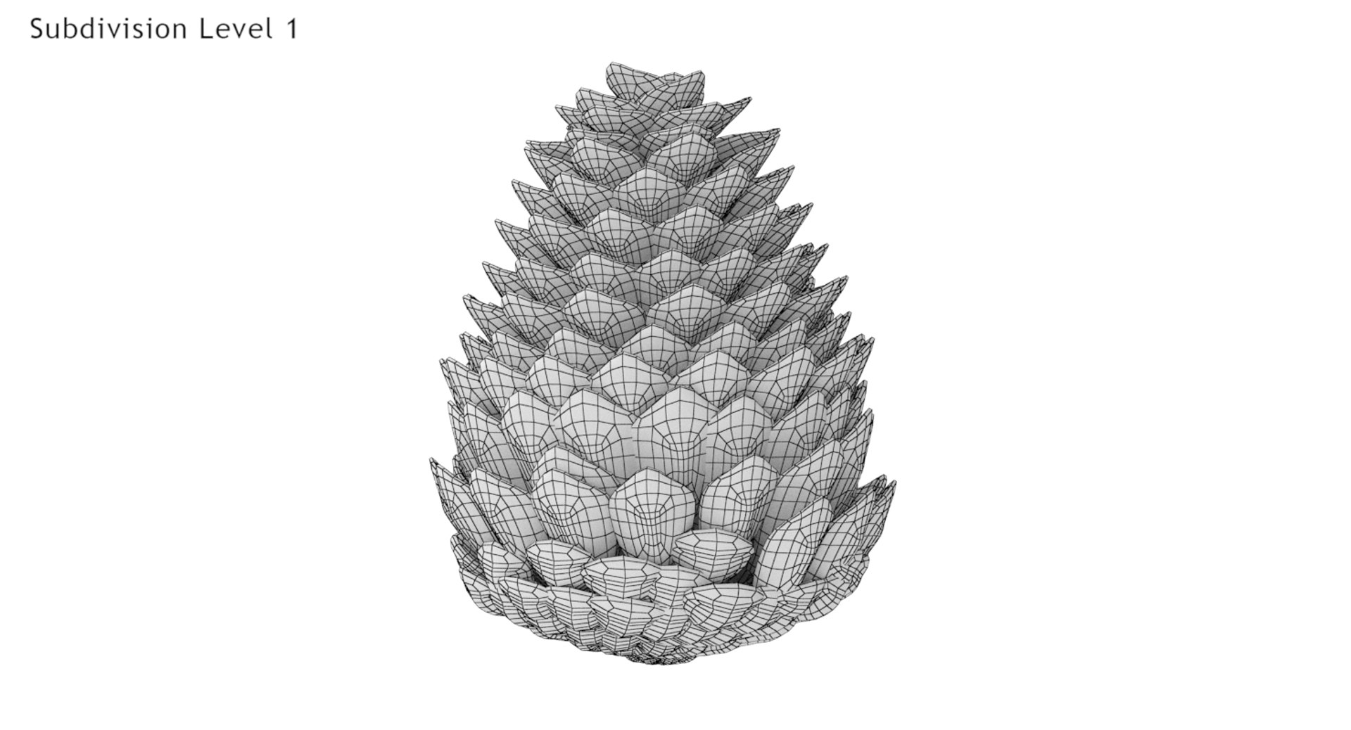 Pine cone 3D model - TurboSquid 1404356
