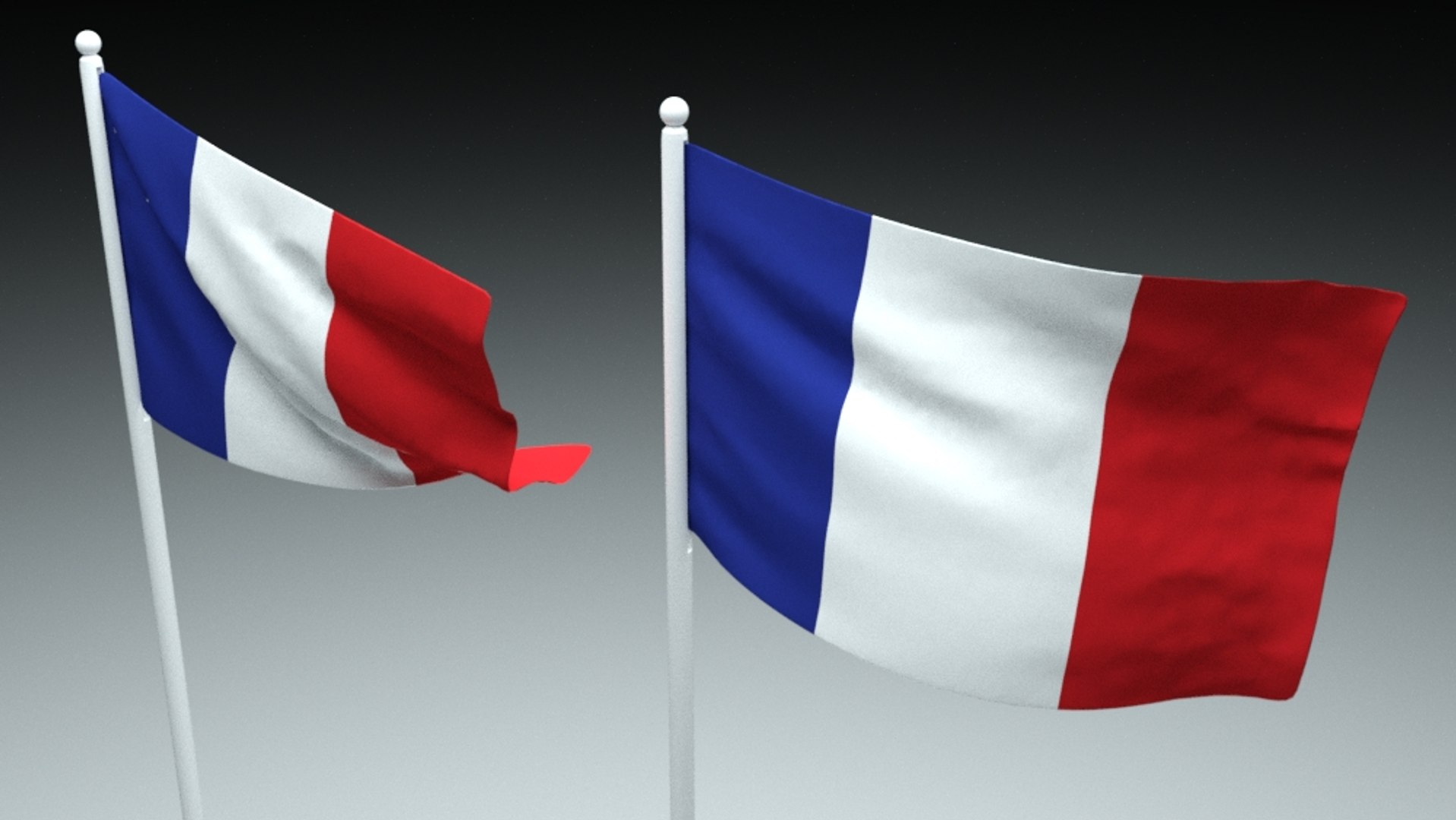 3D French Flag Model - TurboSquid 1594471