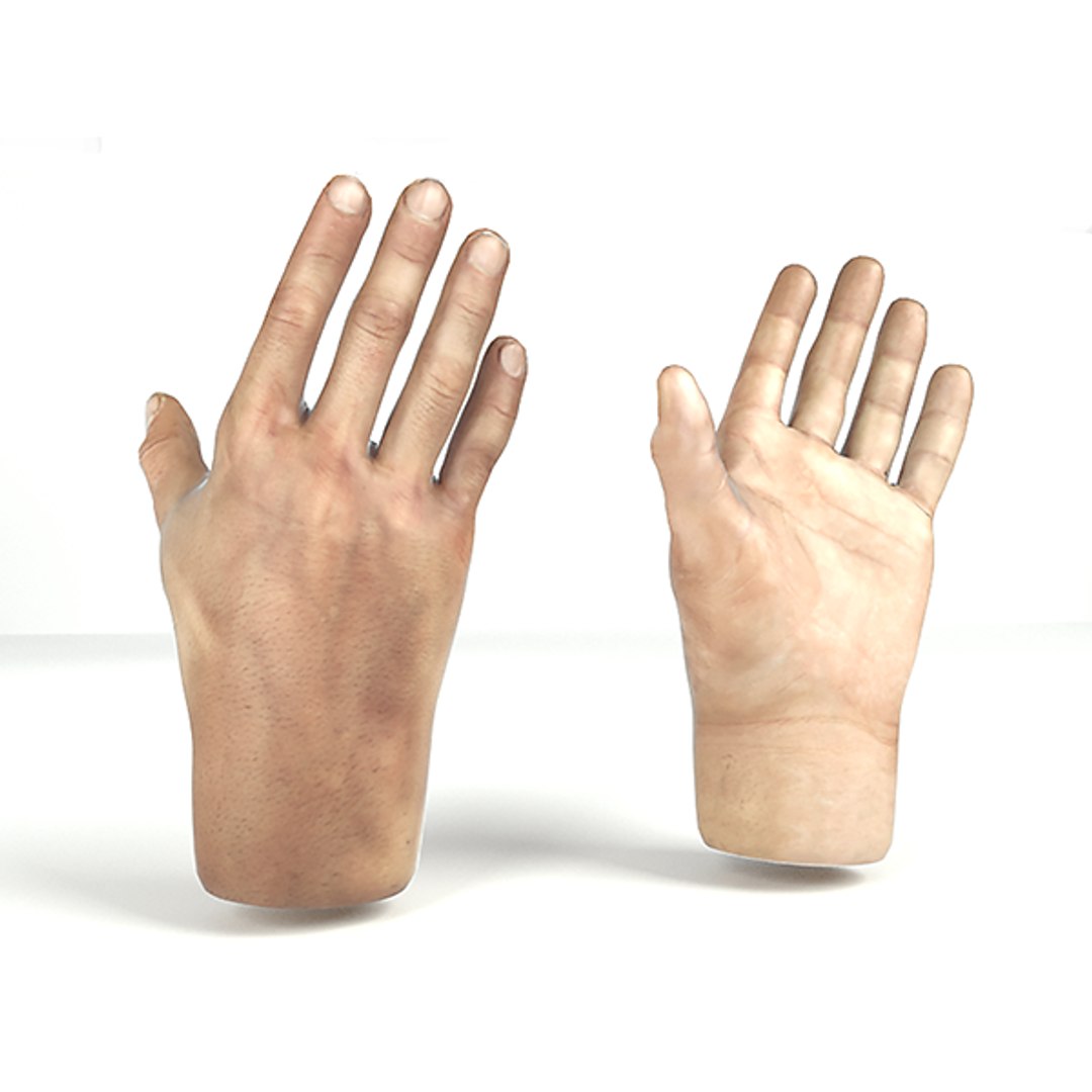 3ds Max Rigged Male Hand