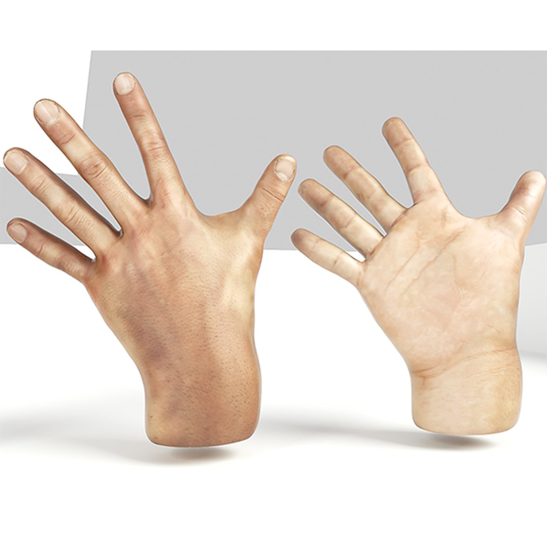 3ds Max Rigged Male Hand