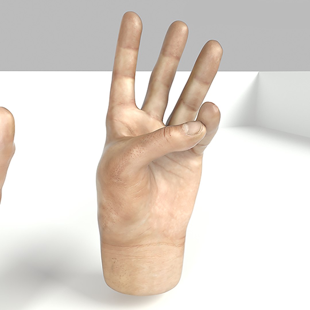 3ds Max Rigged Male Hand