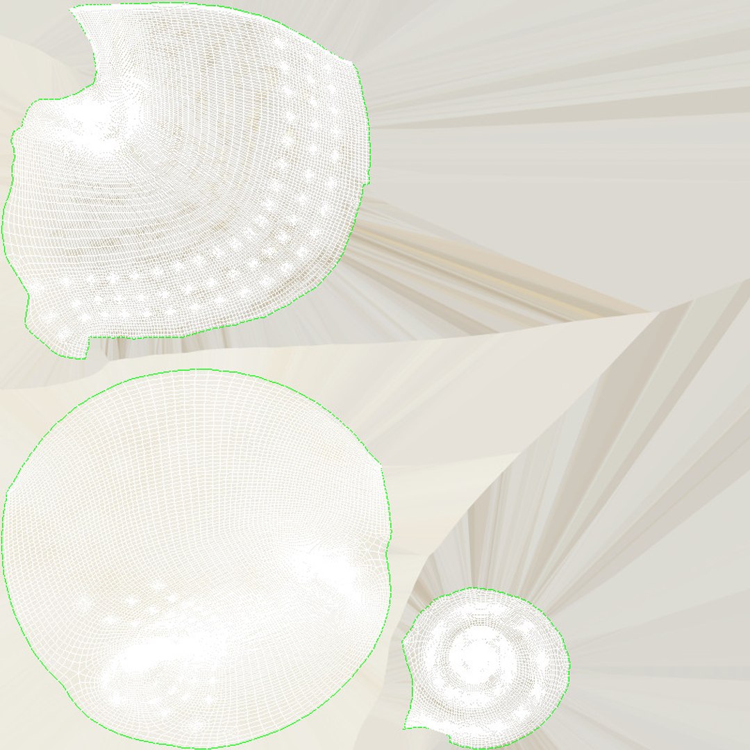 3D Conch-shells---shell-02 Model - TurboSquid 1155458