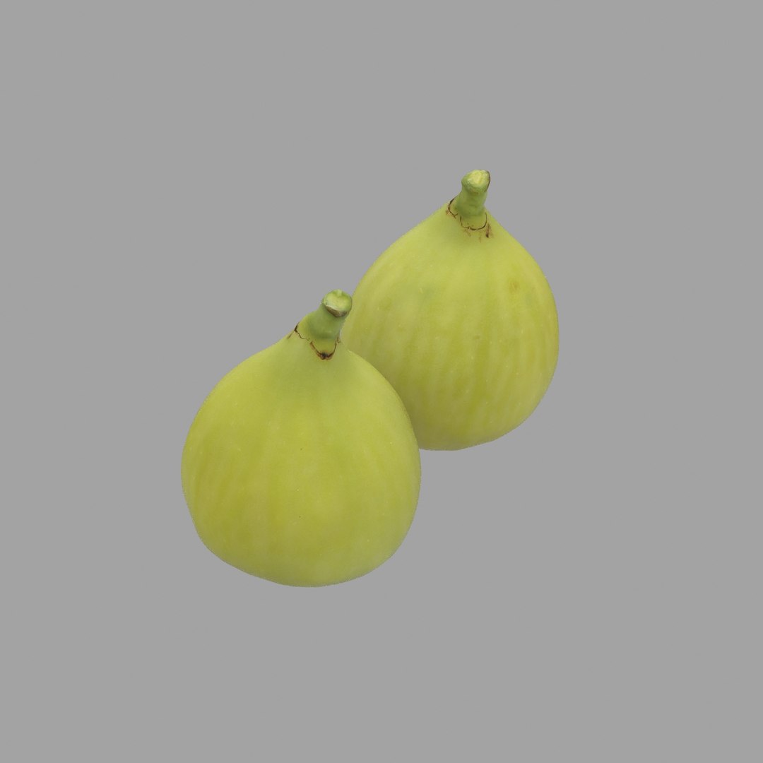 Fig Fresh 3D Model - TurboSquid 1224777