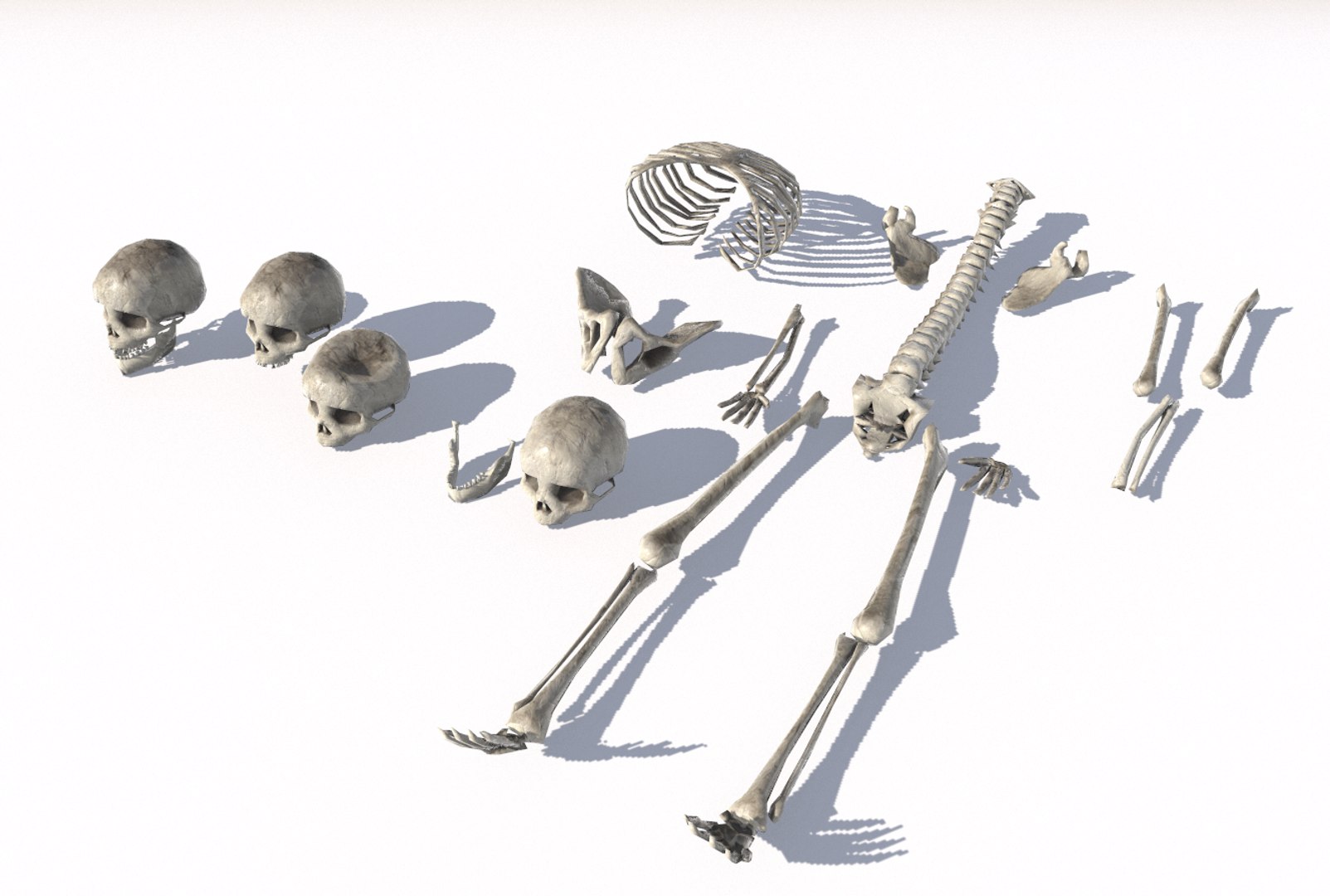 3D Pack Old Bones Pbr Model - TurboSquid 1420202