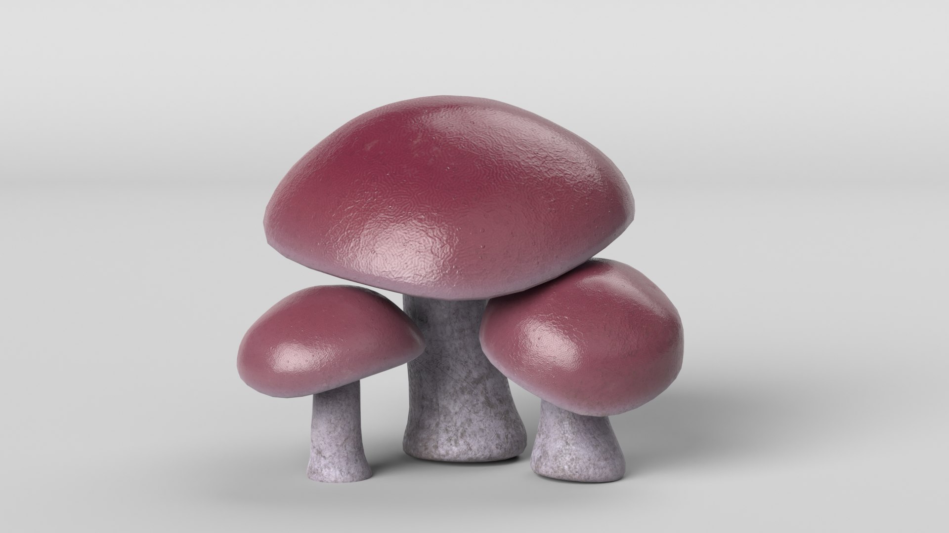 Blewit Mushrooms 3D Model - TurboSquid 1591759