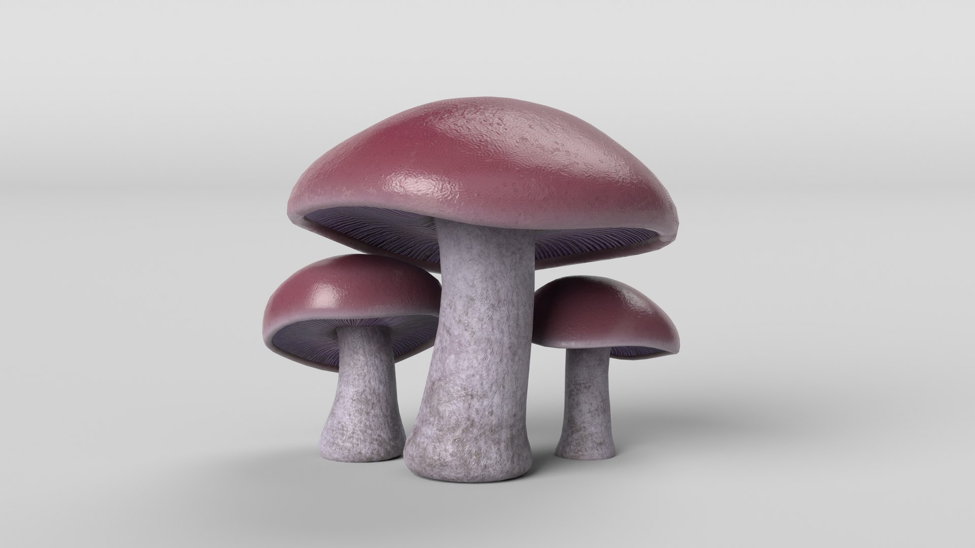 Blewit Mushrooms 3D Model - TurboSquid 1591759