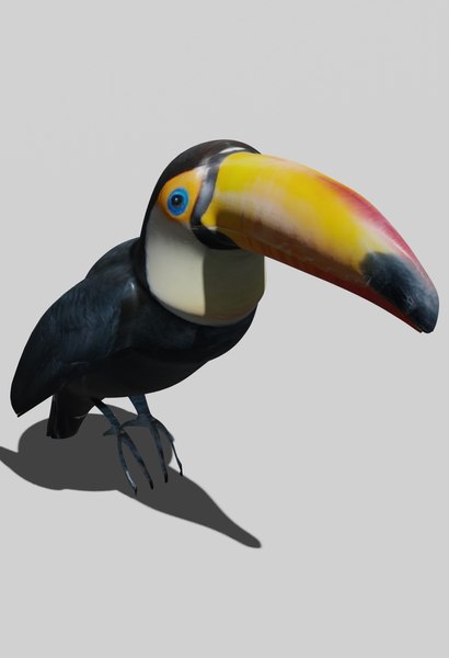 modelo 3d Tucán realista OBJ - TurboSquid 2008114