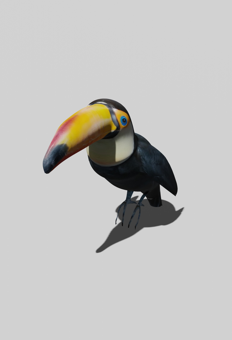 3D Model Realistic Toucan OBJ - TurboSquid 2008114