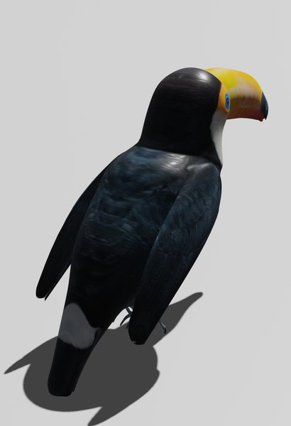 modelo 3d Tucán realista OBJ - TurboSquid 2008114