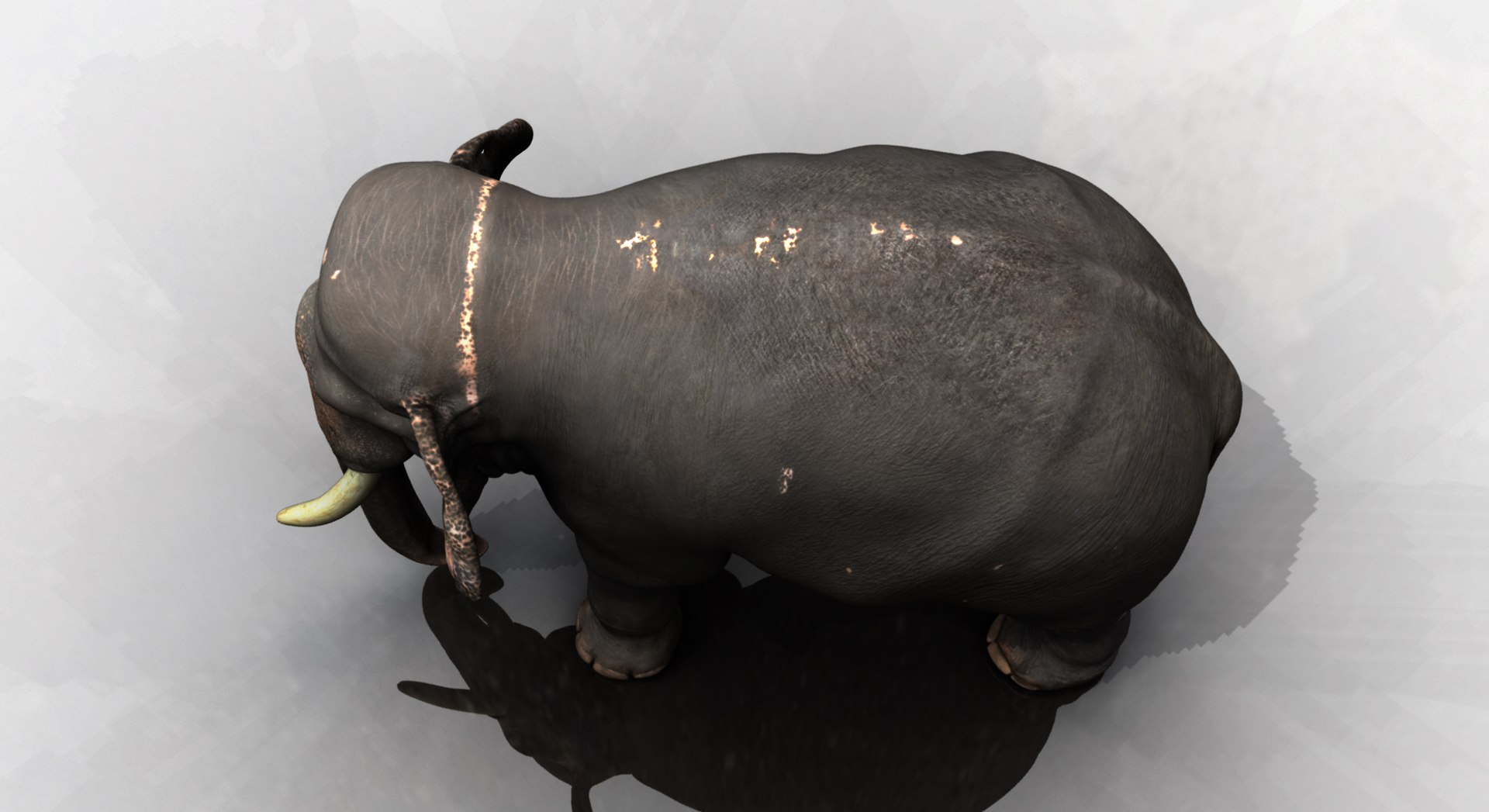 Asian Elephant Rig 3D Model - TurboSquid 1586113