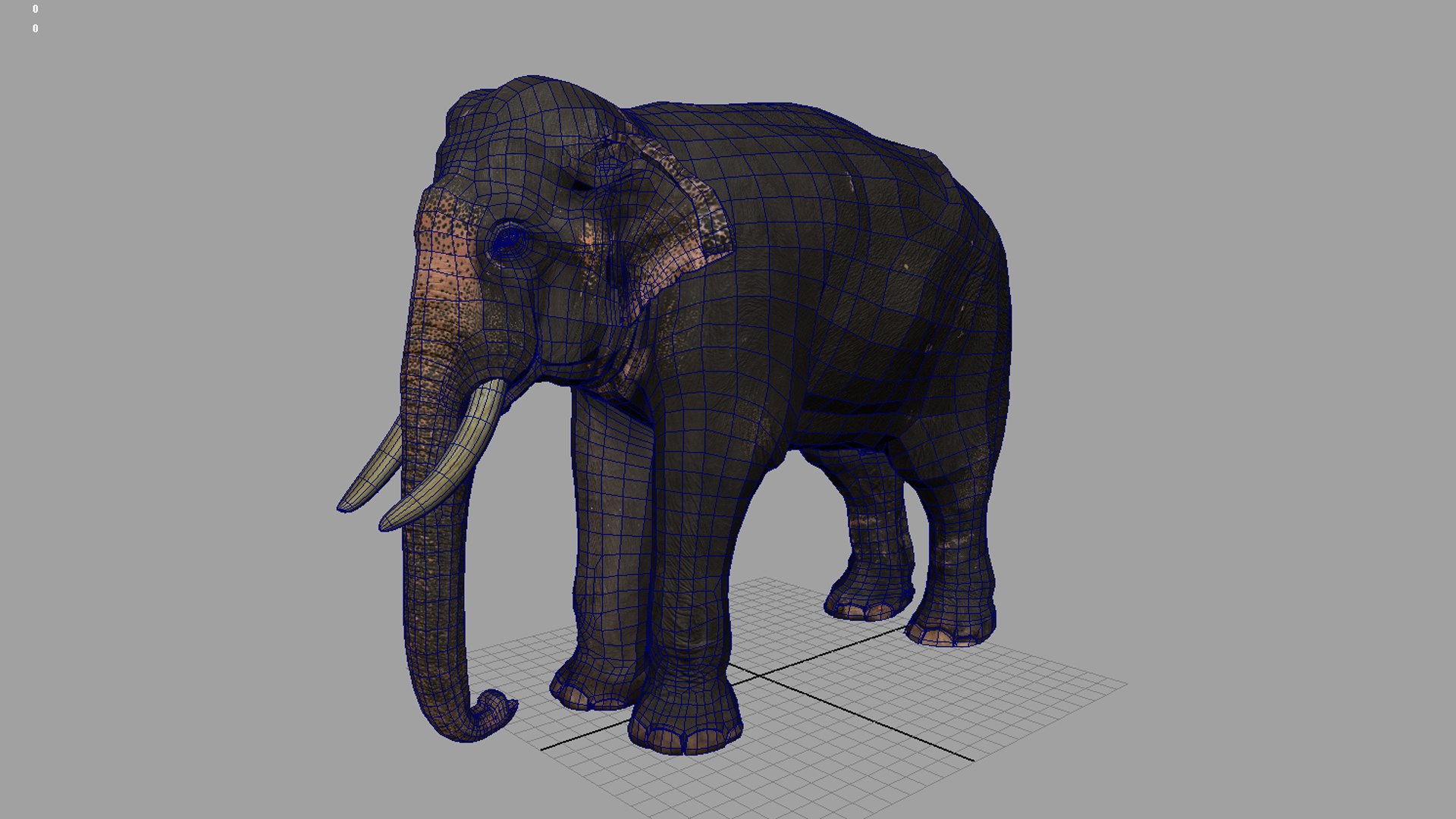 Asian Elephant Rig 3D Model - TurboSquid 1586113