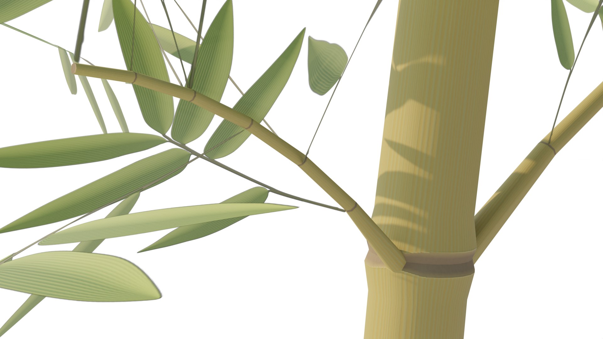 3D Bamboo Model - TurboSquid 2226553