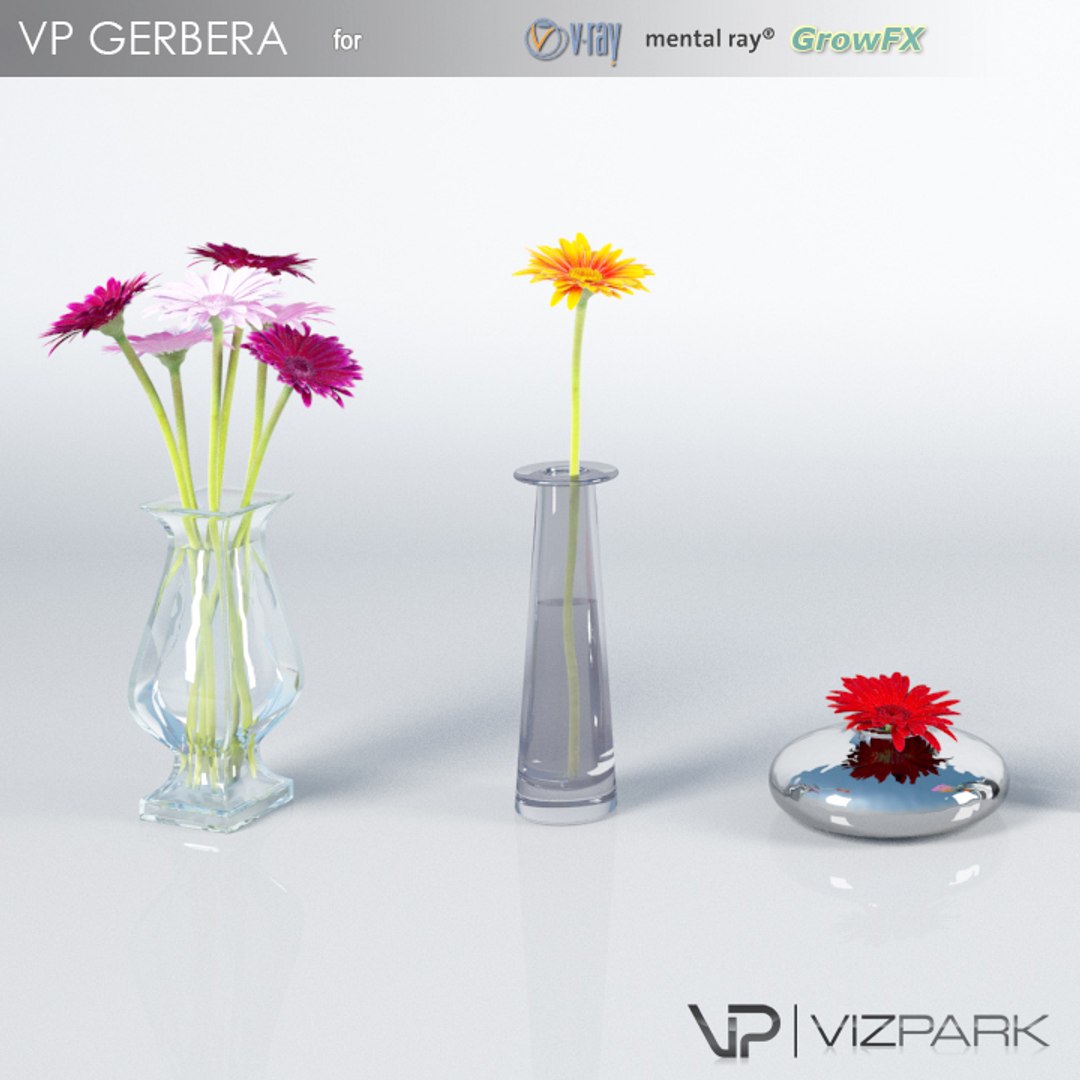 3ds Max Gerbera Flower