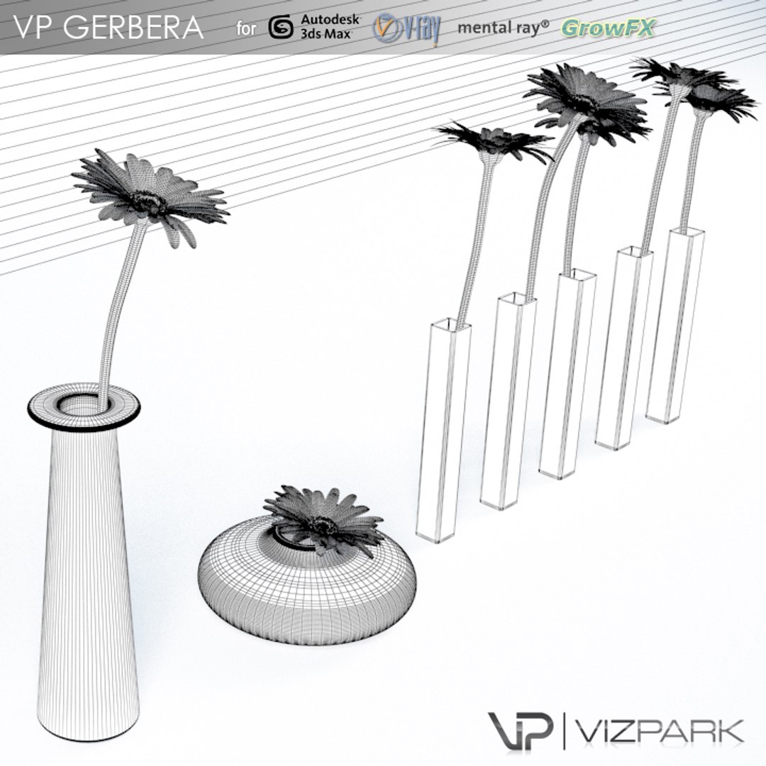3ds Max Gerbera Flower