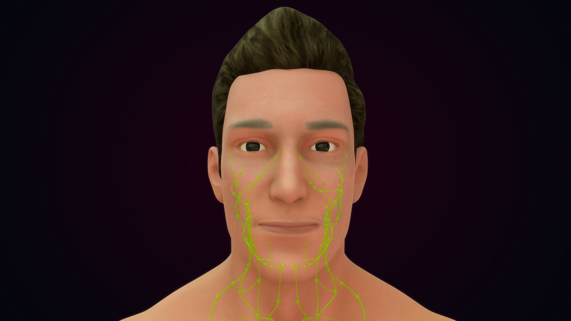 3D Human Natural Body With Lymph Nodes - TurboSquid 1891477