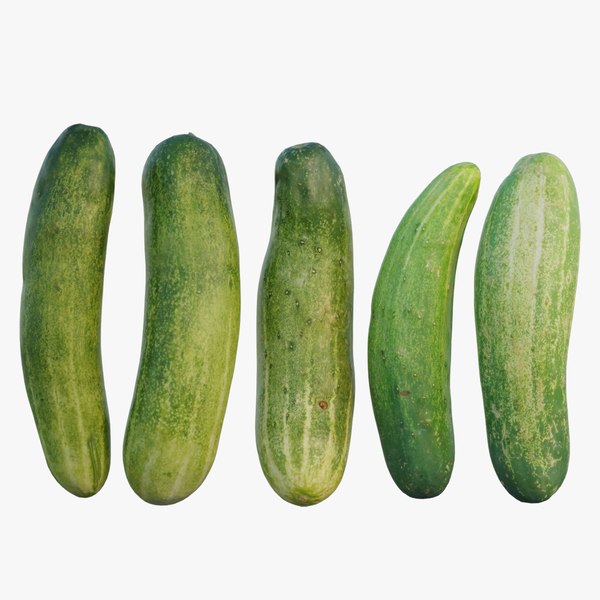 3D Cucumber 05 - TurboSquid 1921177