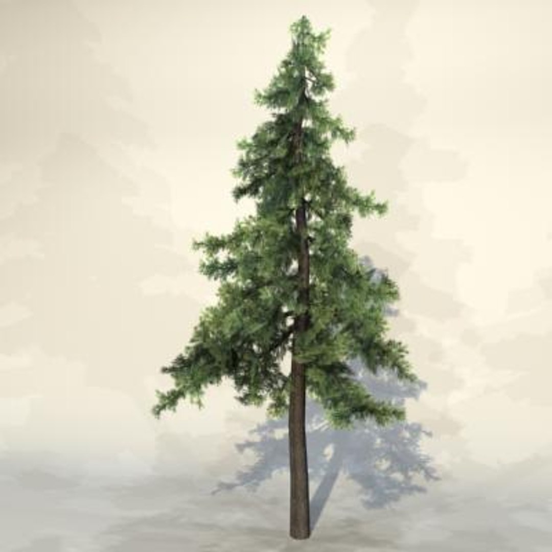 3d pc tree model