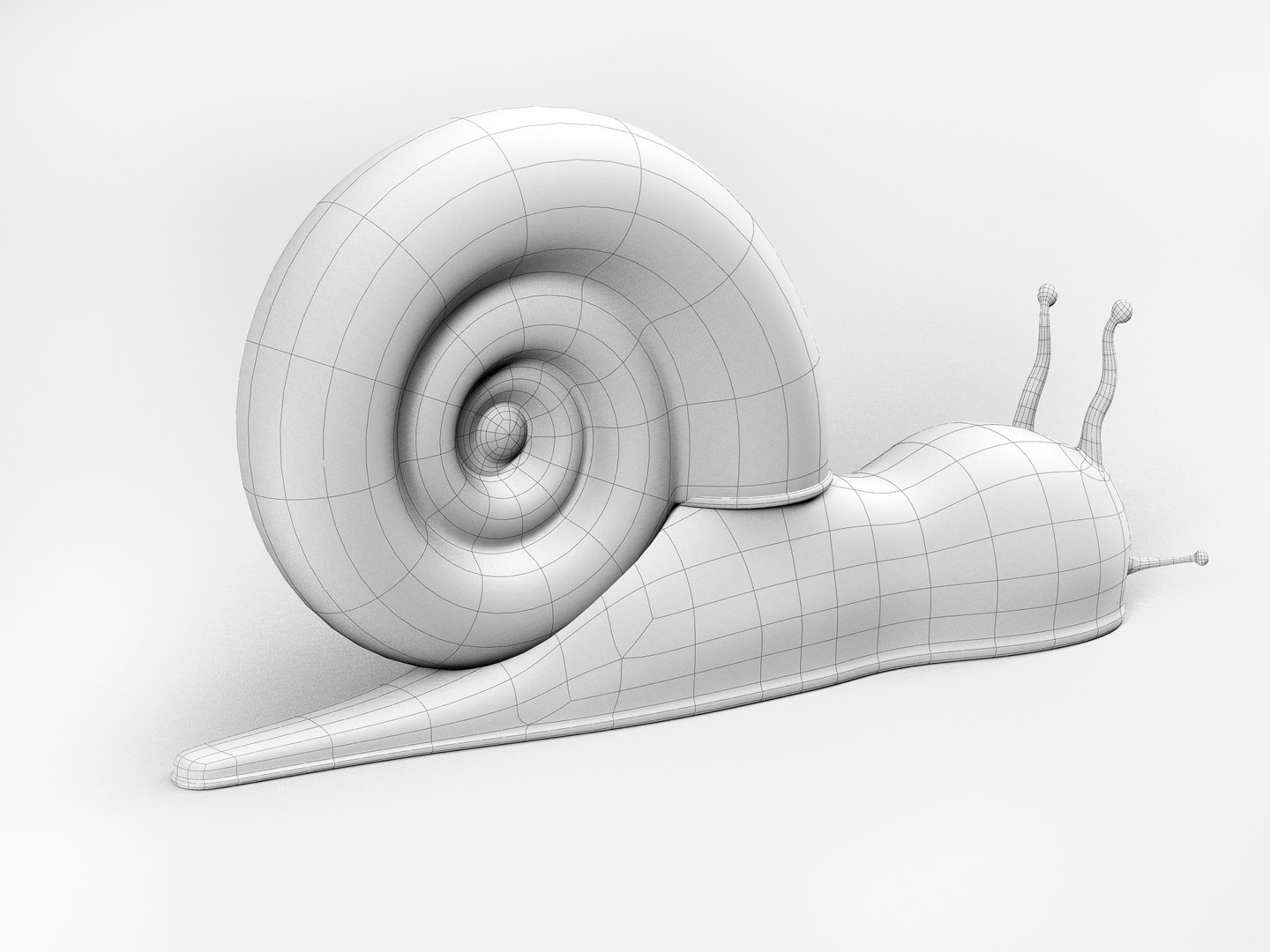 Snail 3D Model - TurboSquid 2291337