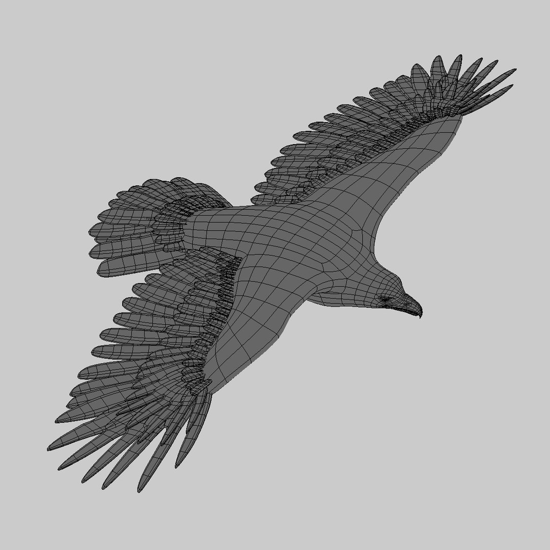 Golden Eagle Animation 3d Ma