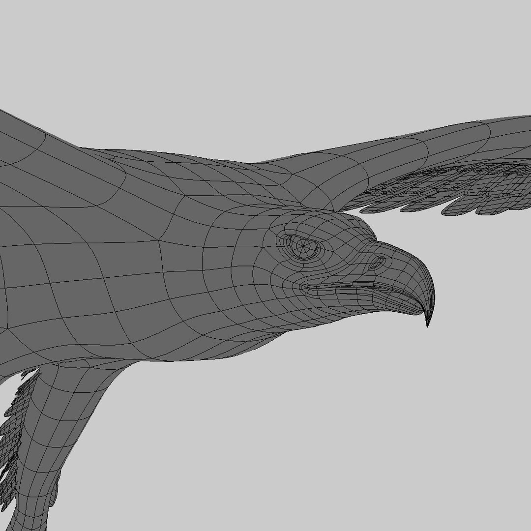 Golden Eagle Animation 3d Ma