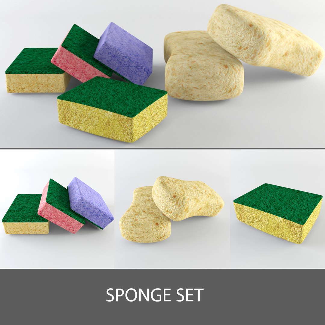 Sponge 3d Model