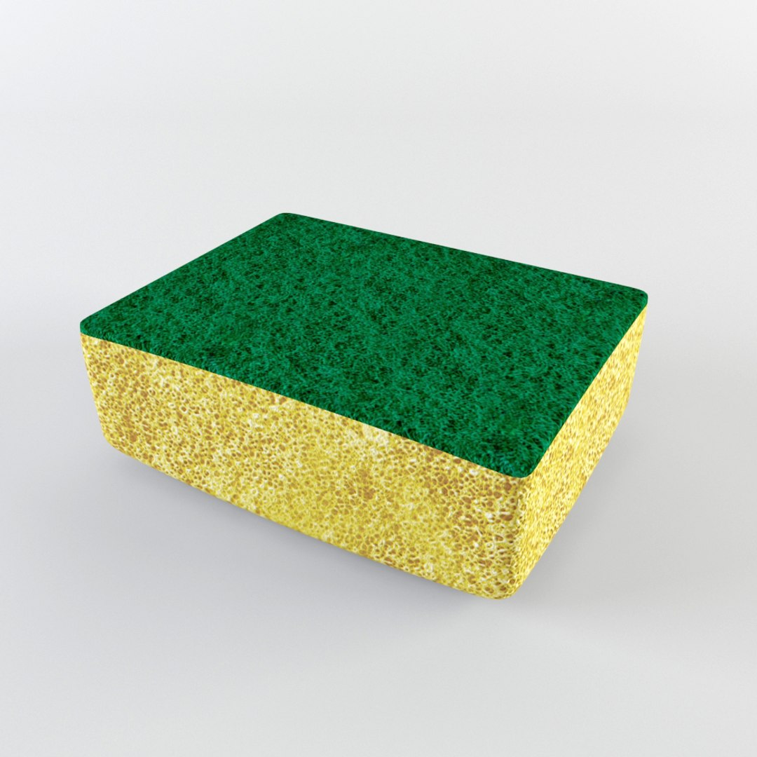 Sponge 3d Model