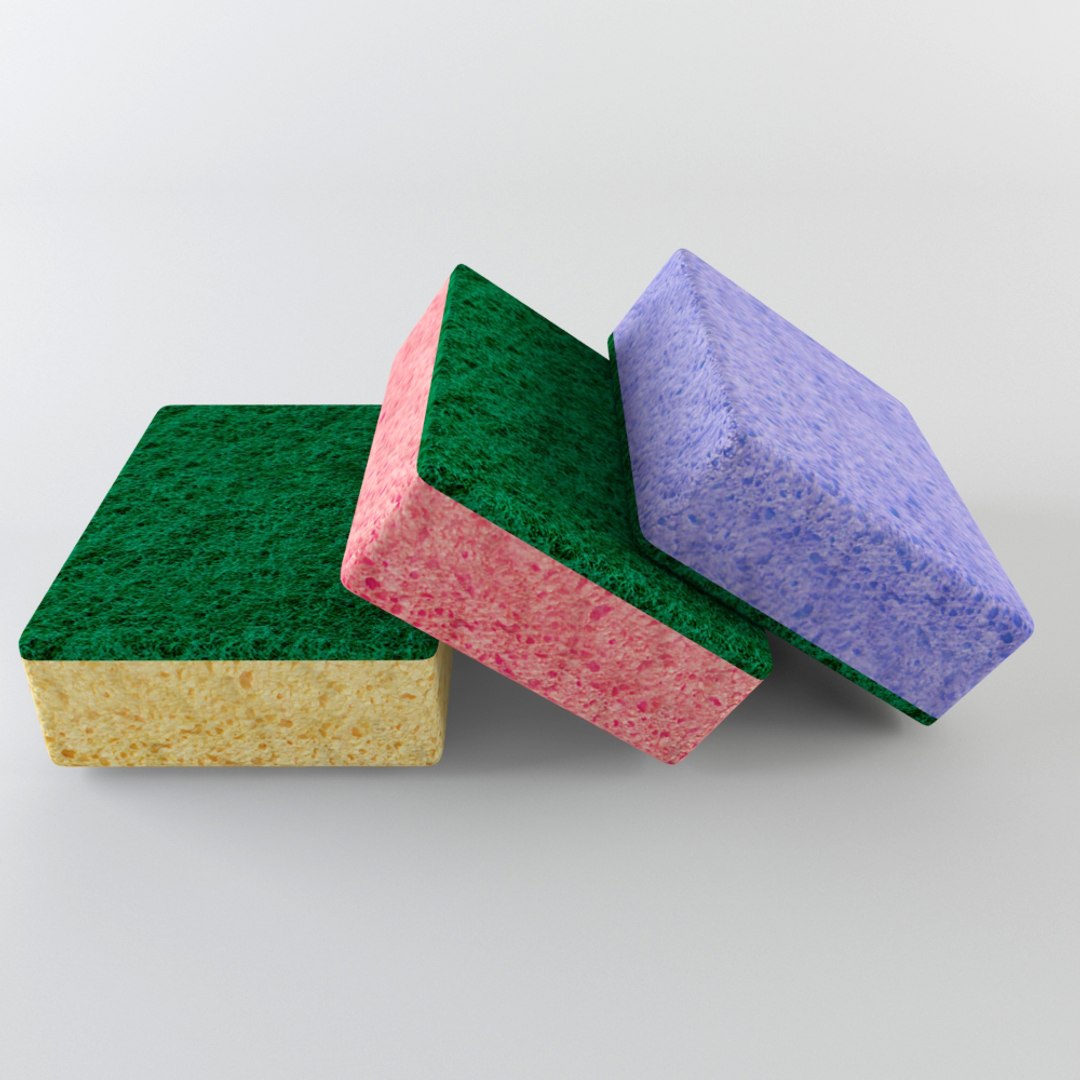 Sponge 3d Model