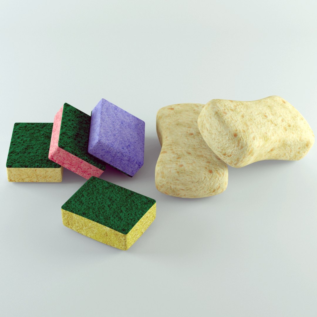 Sponge 3d Model