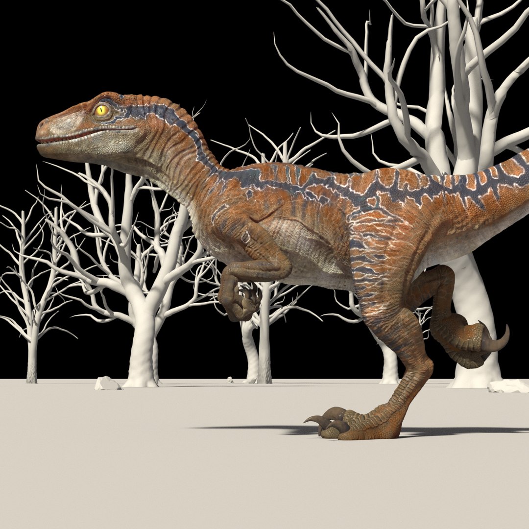Raptor Rig Studio License 3D - TurboSquid 1320297