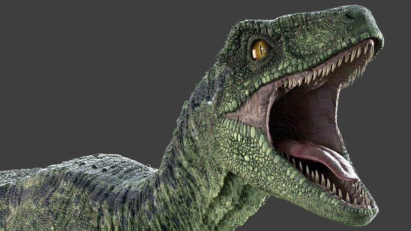 Raptor rig studio license 3D - TurboSquid 1320297