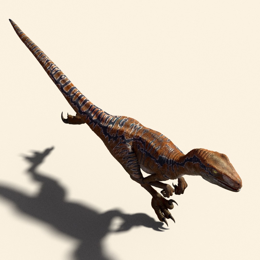 Raptor Rig Studio License 3D - TurboSquid 1320297