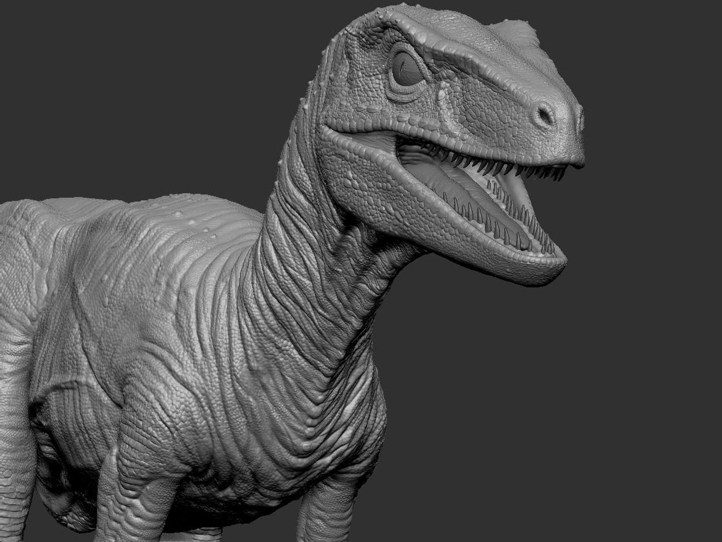 Raptor Rig Studio License 3D - TurboSquid 1320297