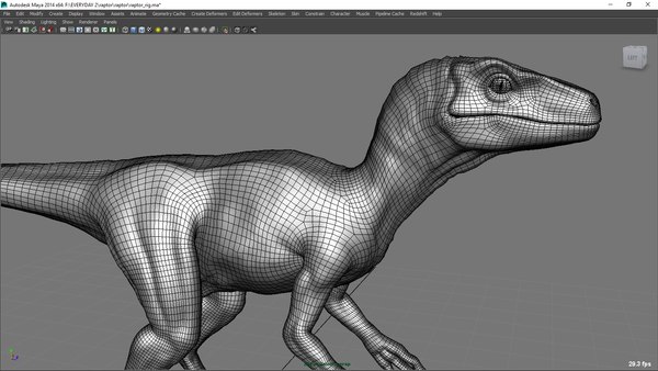 Raptor rig studio license 3D - TurboSquid 1320297