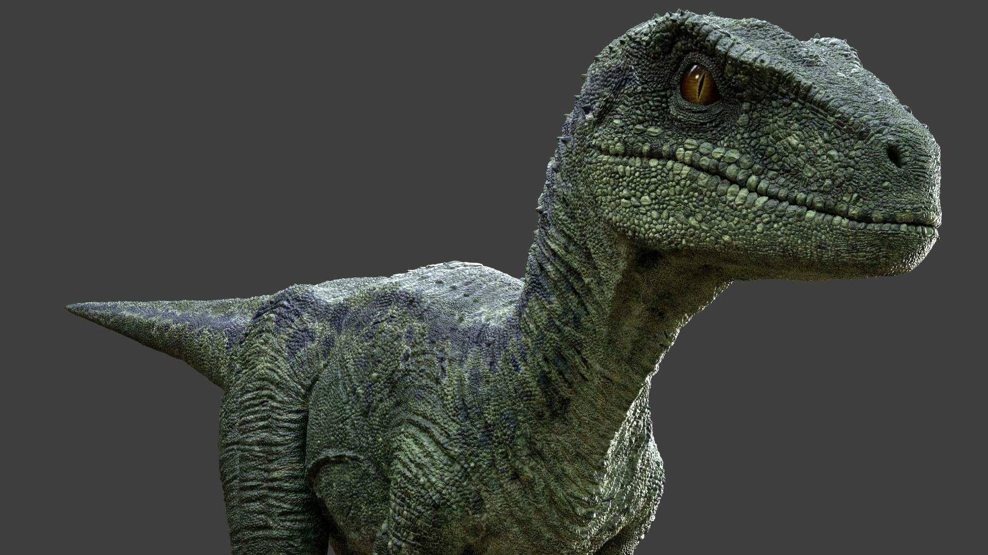 Raptor Rig Studio License 3D - TurboSquid 1320297