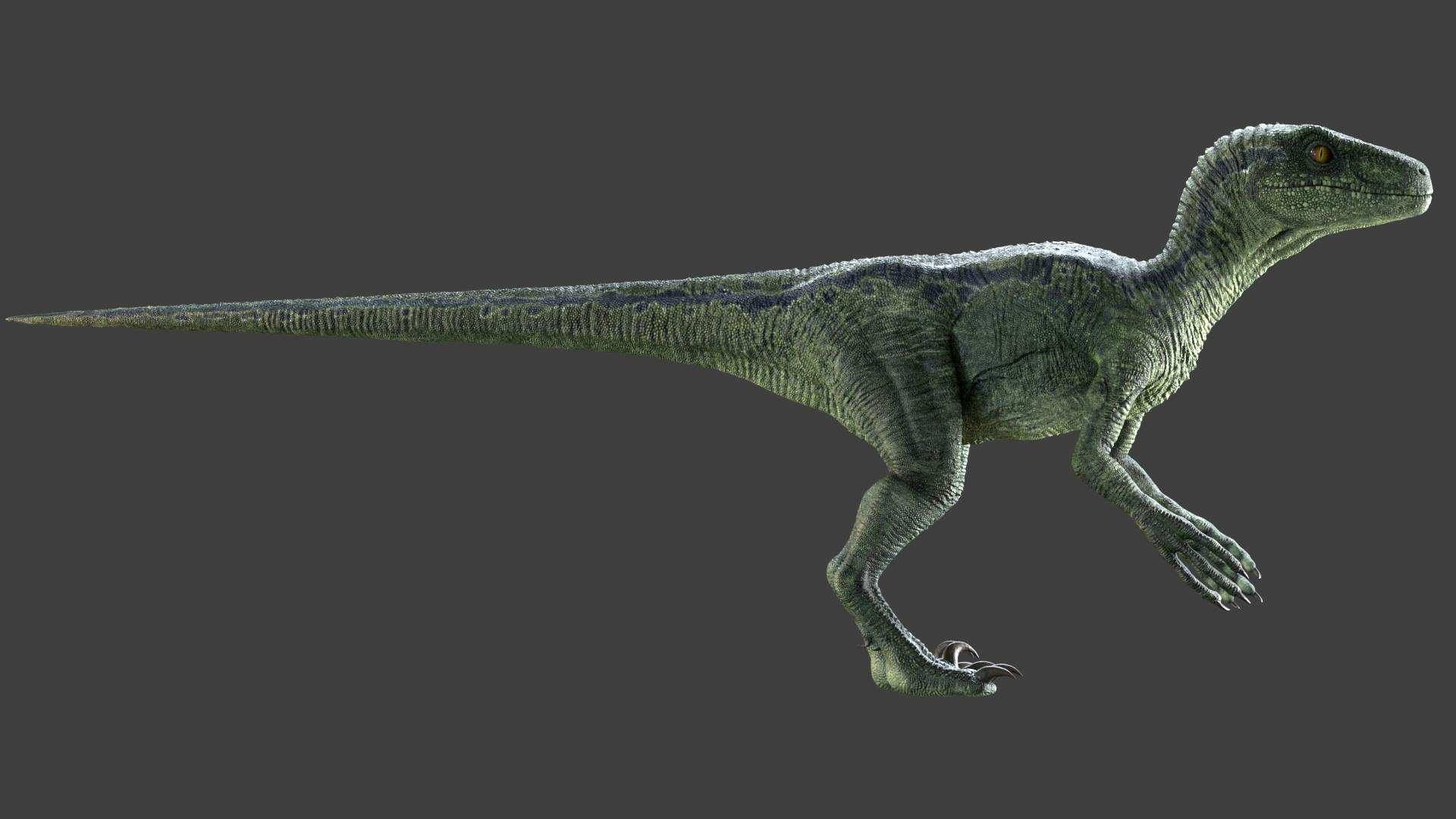 Raptor Rig Studio License 3D - TurboSquid 1320297